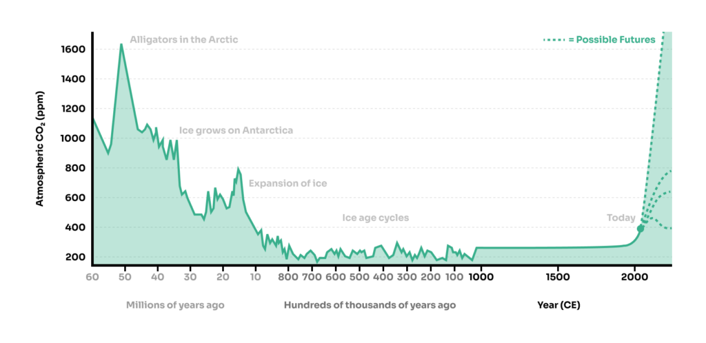 What are Carbon Offsets? Your Ultimate Guide to Carbon Offsetting