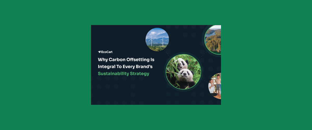 Why Carbon Offsetting Is Integral To Every Brand's Sustainability ...
