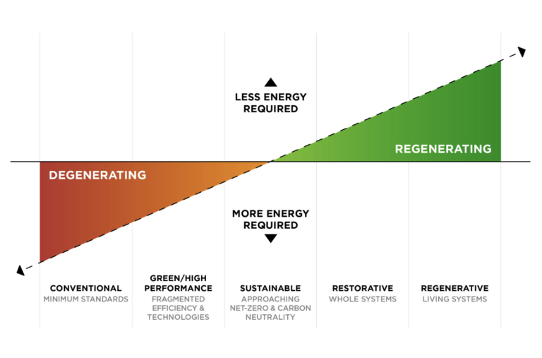 What Is Regenerative Sustainability? Why It Matters In Ecommerce