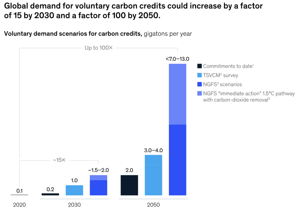 How to Get Paid for Carbon Credits