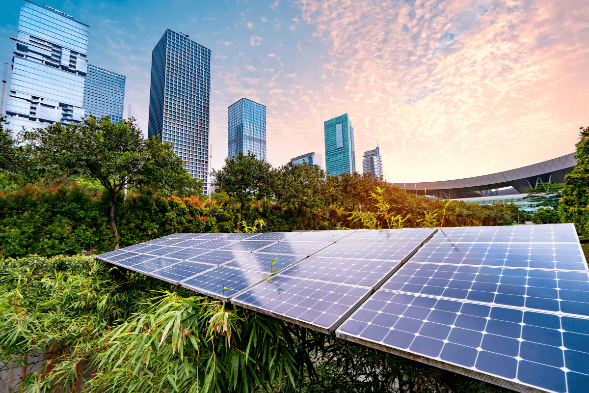 Ecommerce Sustainability Scorecard: What's Your Brand's Sustainability ...