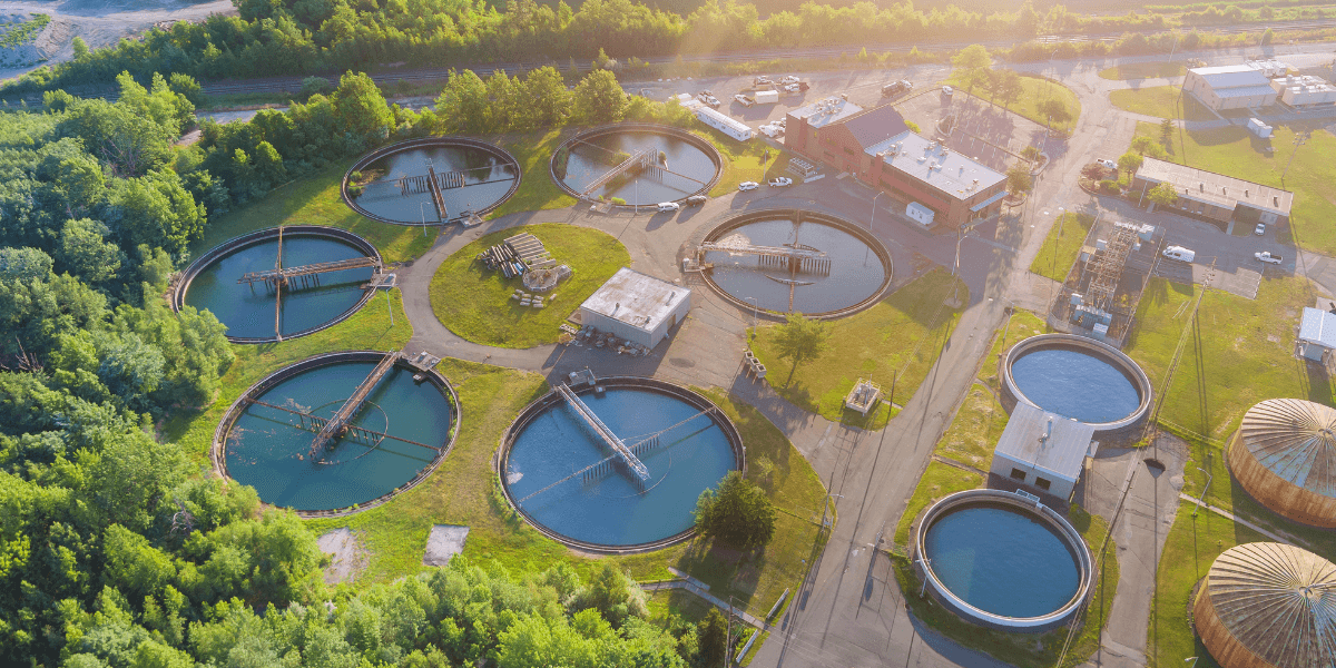 How to Write An Effective Sustainability Statement (With Examples ...