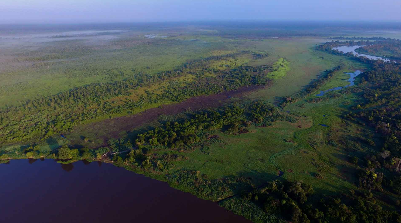 Rimba Raya Biodiversity Reserve - EcoCart