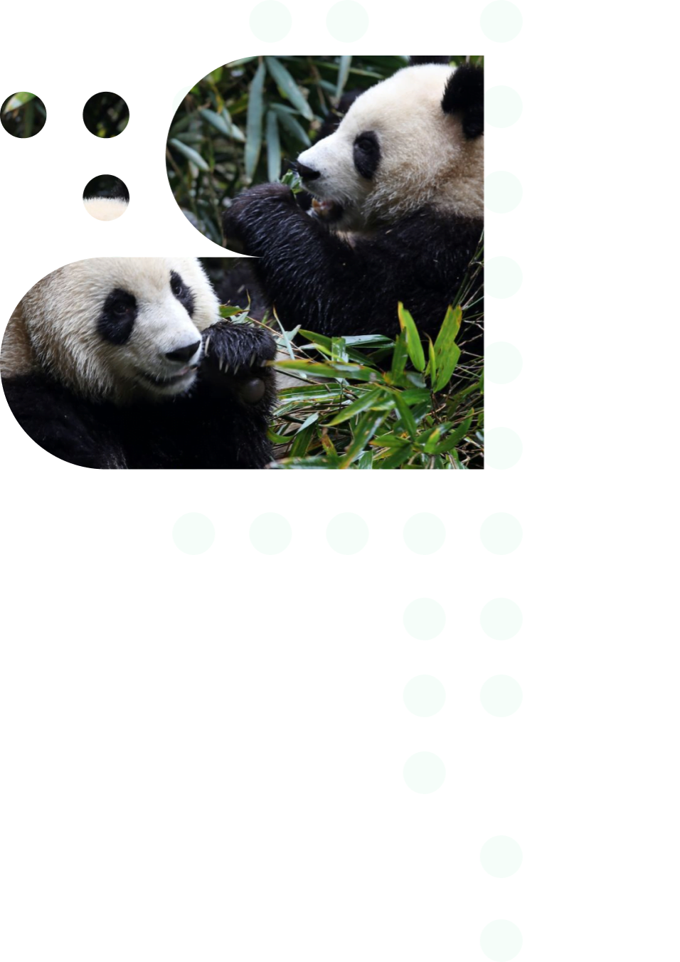 About us - EcoCart