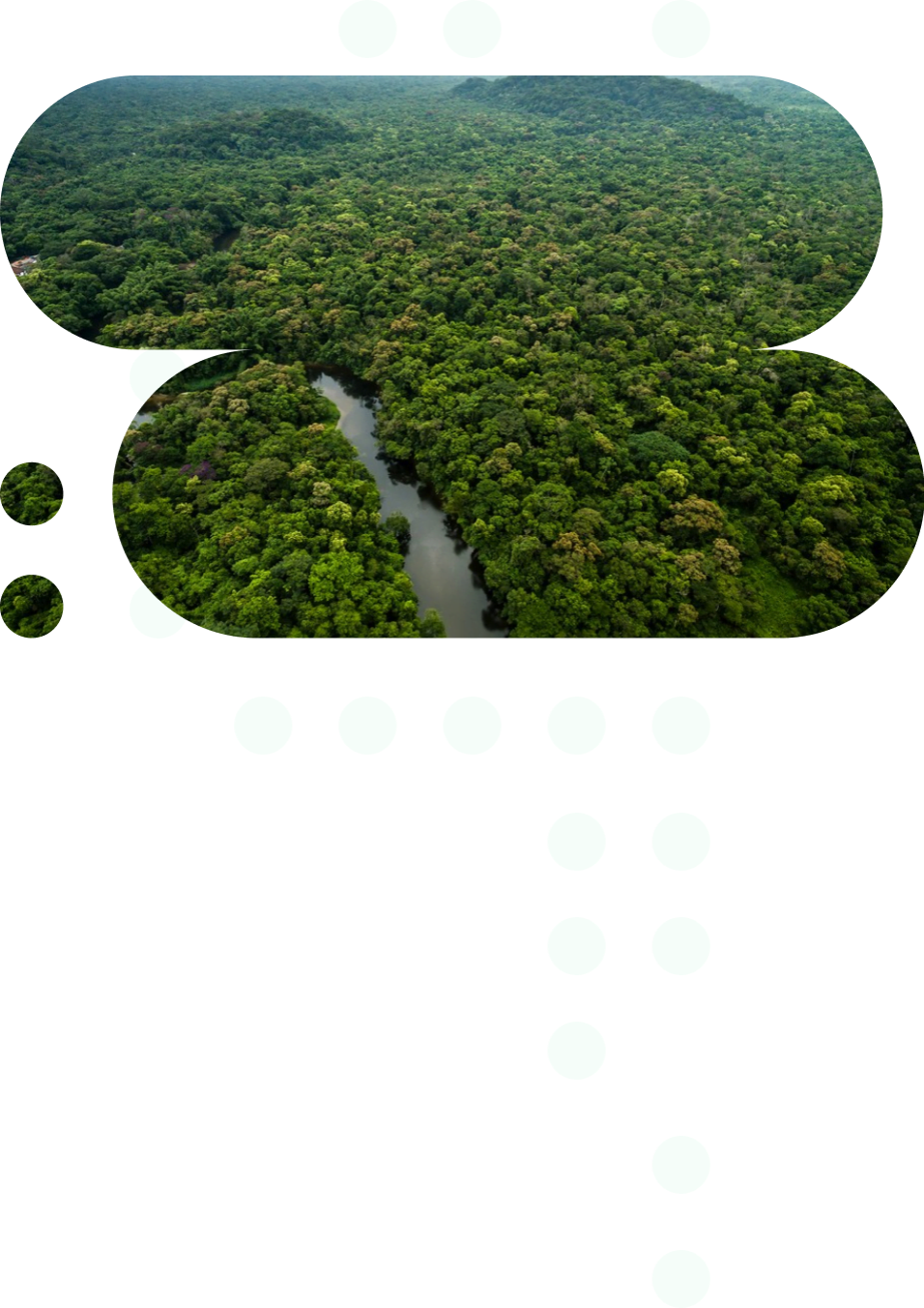 Offset Projects - EcoCart