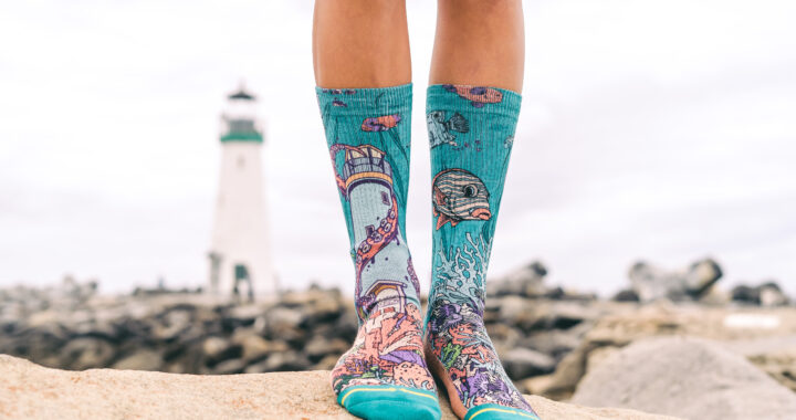 Shuro Shirin - EcoCart