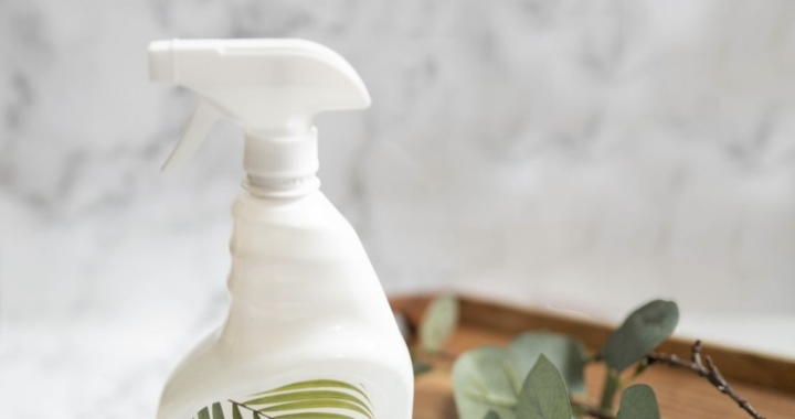 Conservation vs Sustainability: Key Differences and Why They Matter ...