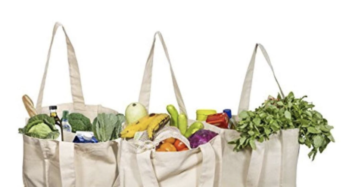 The Zero Waste Grocery Store: The Rise of Waste-Free Groceries