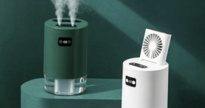 Conservation vs Sustainability: Key Differences and Why They Matter ...