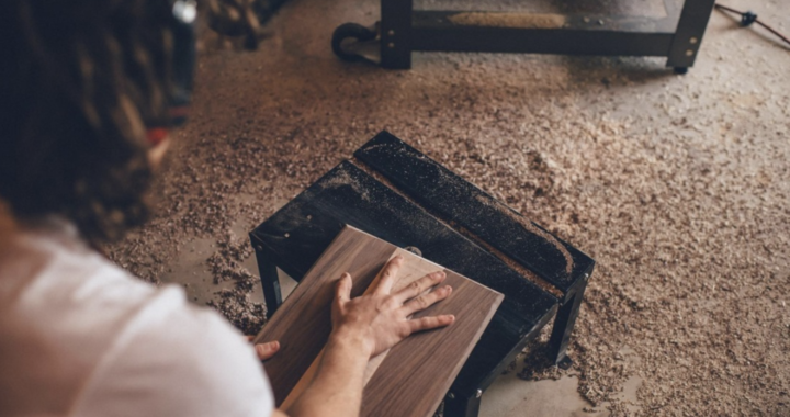 Conservation vs Sustainability: Key Differences and Why They Matter ...