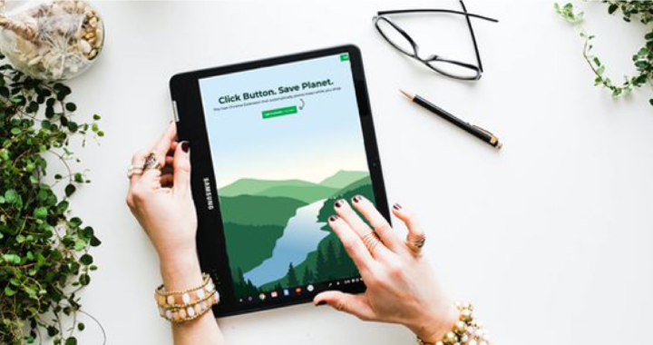 Conservation vs Sustainability: Key Differences and Why They Matter ...