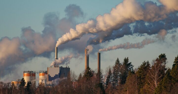 How to Write An Effective Sustainability Statement (With Examples ...
