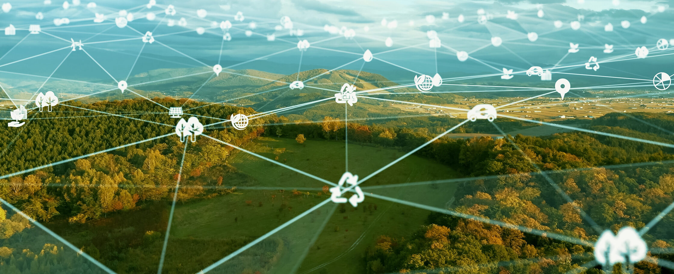 Using Carbon Removal Credits For Offsetting Business Emissions