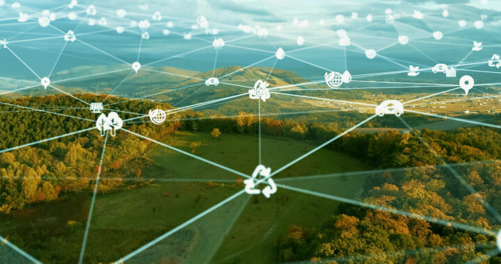 Conservation vs Sustainability: Key Differences and Why They Matter ...