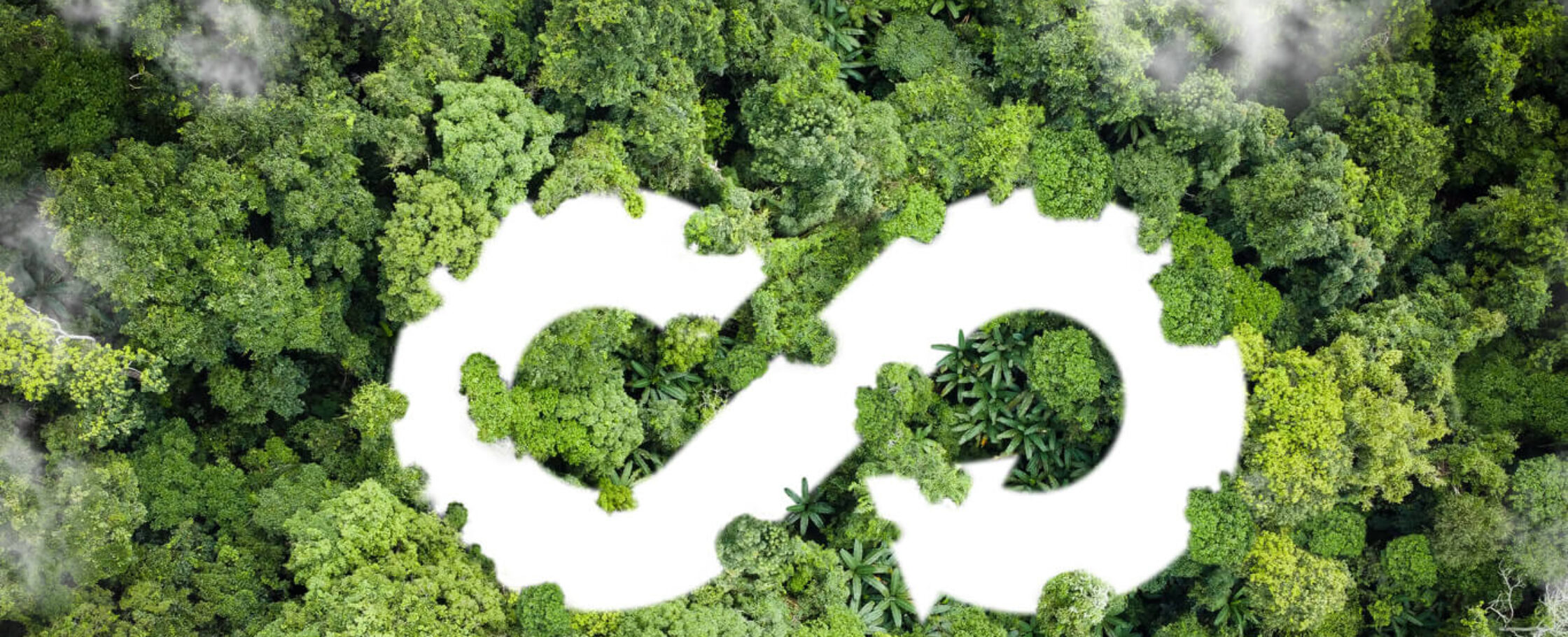 How to Implement a Circular Economy Strategy in Your Ecommerce Business ...