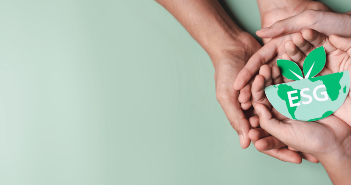 Conservation vs Sustainability: Key Differences and Why They Matter ...