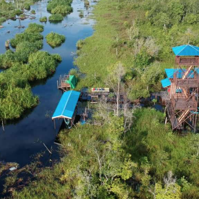 Offset Projects - EcoCart