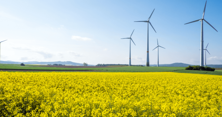 Conservation vs Sustainability: Key Differences and Why They Matter ...
