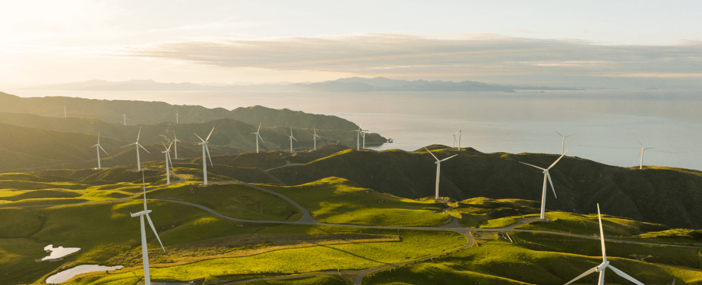 Understanding ESG Credit for Smarter Sustainable Finance Options - EcoCart