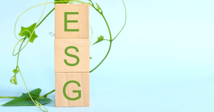 Sustainability vs. Eco-Friendly? A Guide to Green Lingo
